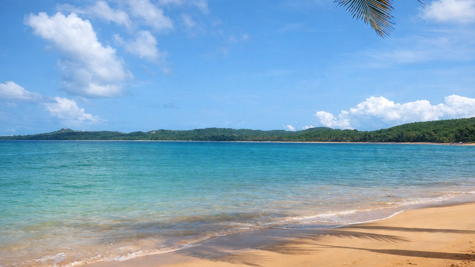 Things To Do in Puerto Rico - flyfrompr.com